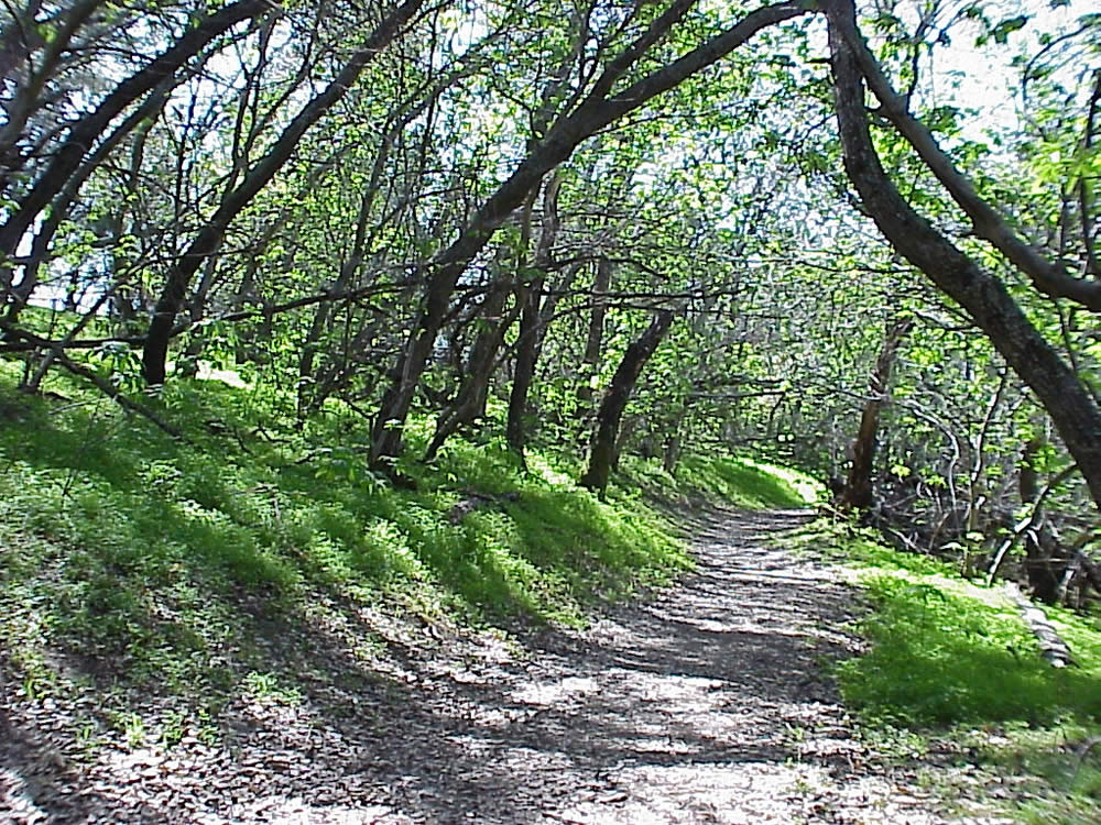 Sierra College Nature Area and Trail Outdoor Laboratory - (a natural ...